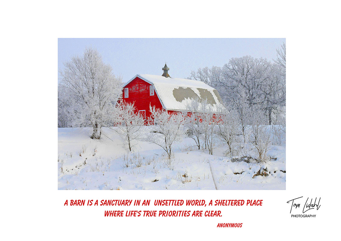 “A barn is a sanctuary in an unsettled world…” | Dr. Tom's Cards