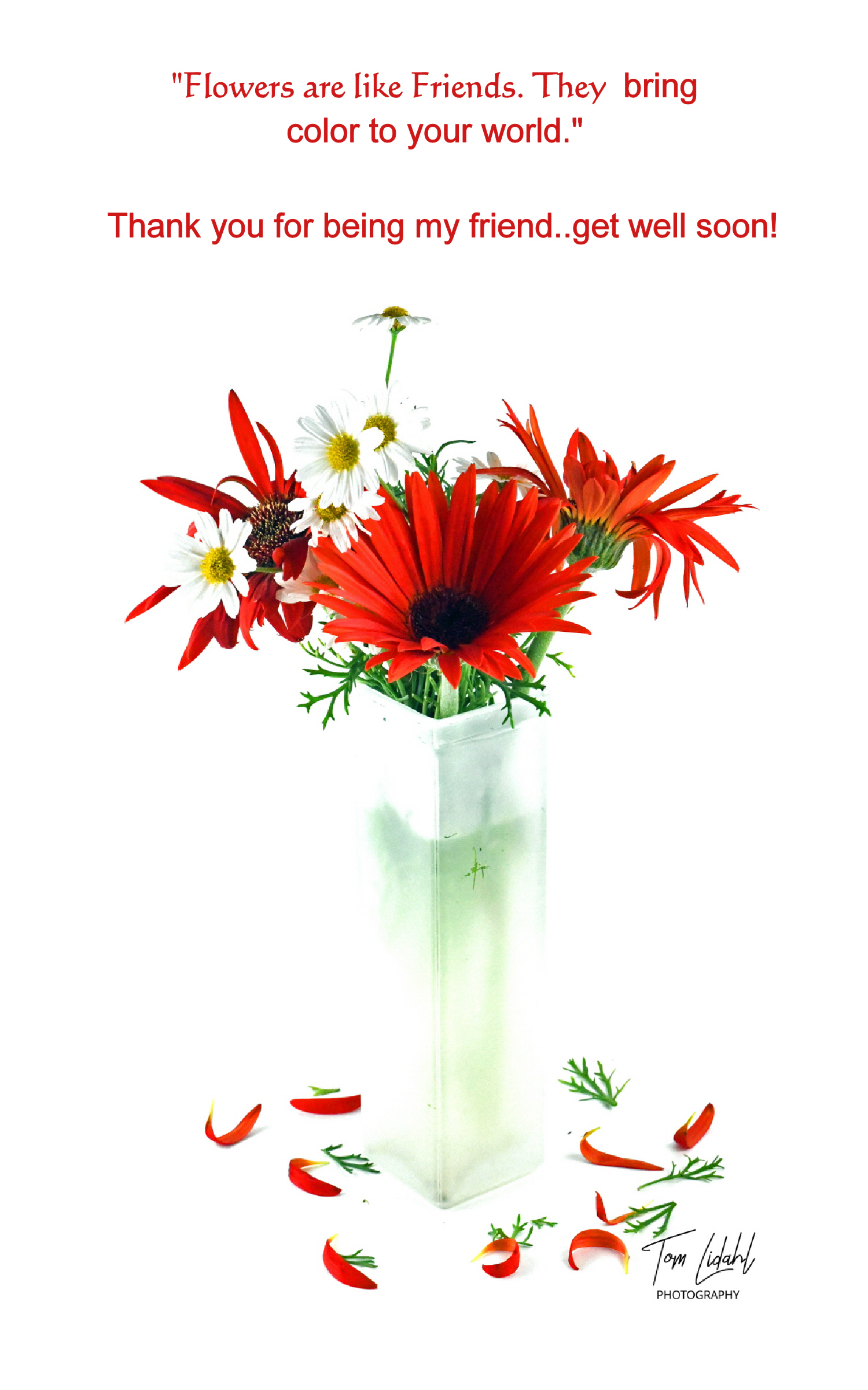 FRIEND..GET WELL SOON! | Dr. Tom's Cards